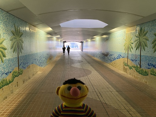 Abu Dhabi – Day 5 - Ernie Explores